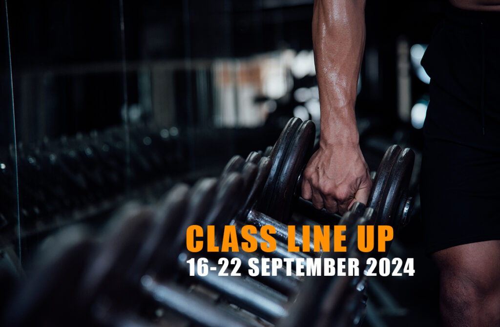 Class Lineup – WE FITNESS SOCIETY